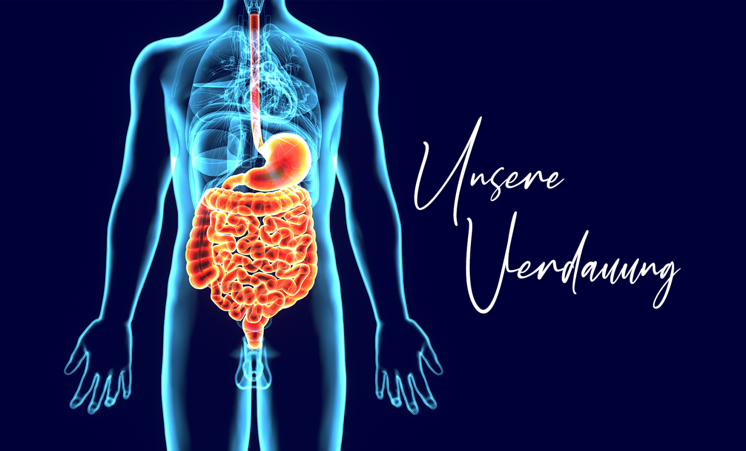 Verdauung: Das passiert, wenn wir essen - Schöne und gesunde Haut mit ...