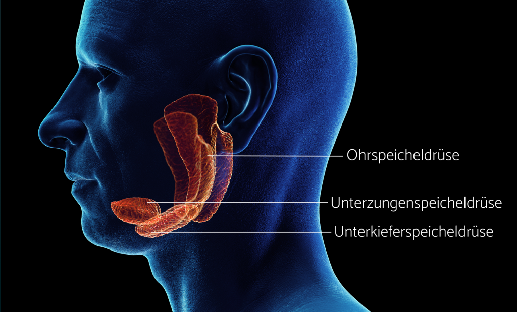 Verdauung: Das passiert, wenn wir essen - Schöne und gesunde Haut mit ...